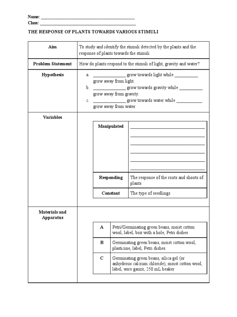The Response of Plant Roots and Shoots to Light, Gravity, and Water ...