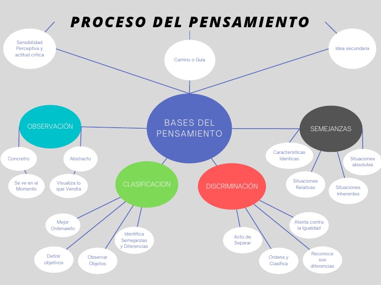 Proceso Del Pensamiento | PDF | Ciencia cognitiva | Sicología