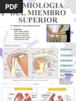 Mano en Garra: Causas y Tratamientos | PDF | Mano | Nervio