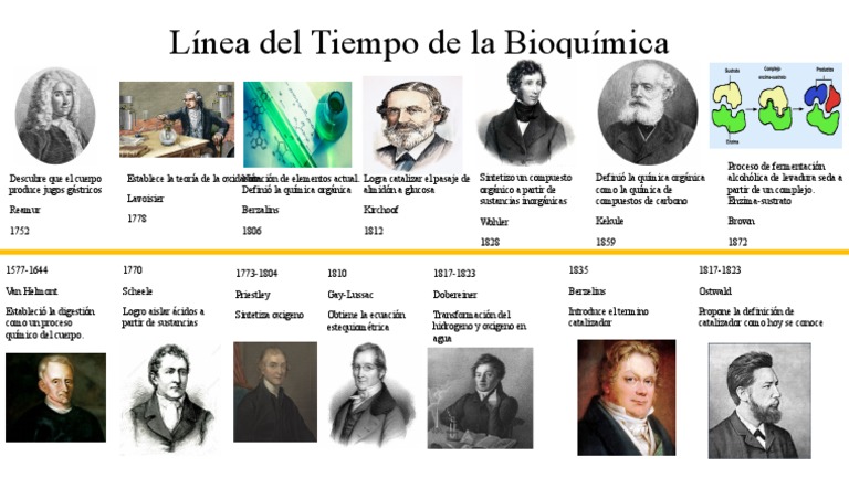 Línea Del Tiempo de La Bioquímica | PDF