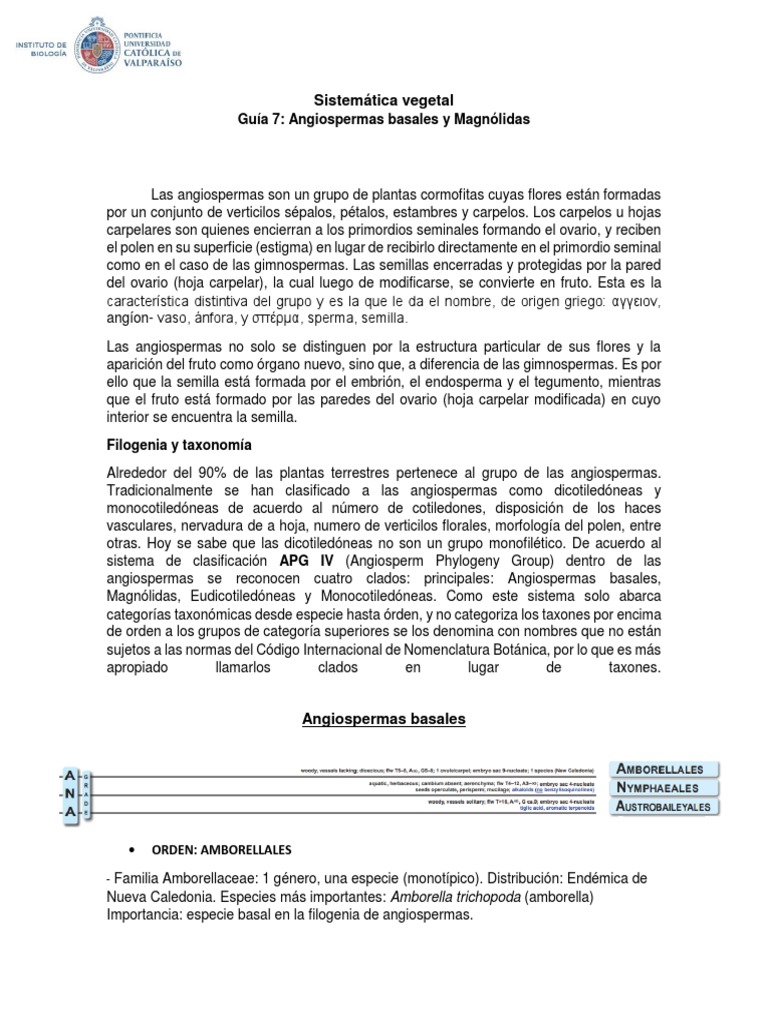 N° 7 - APG IV ANA y Magnolidas | PDF | Flores | Taxa