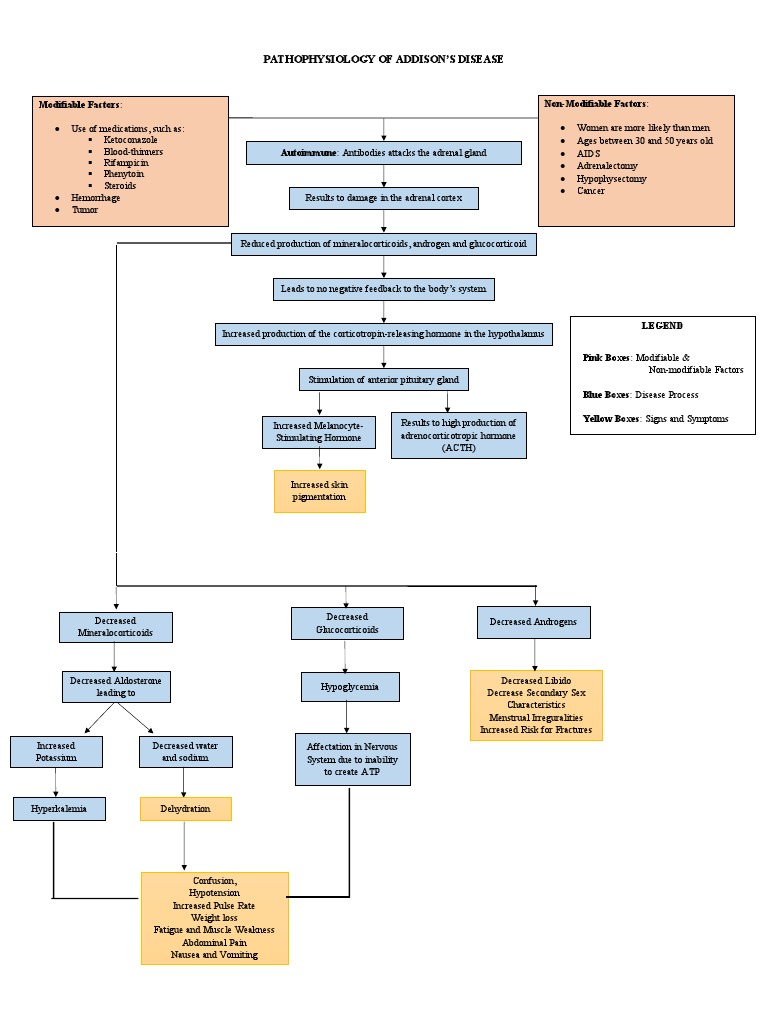 Addisons Disease Pathophysiology | PDF | Adrenal Gland ...