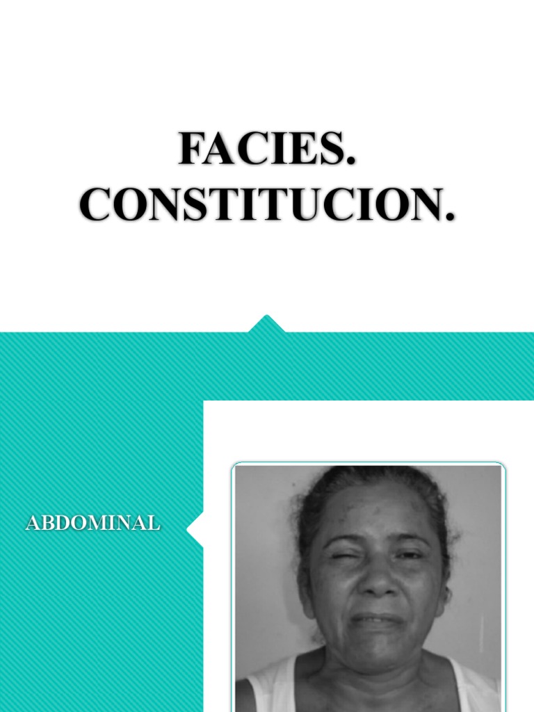 FACIES | PDF