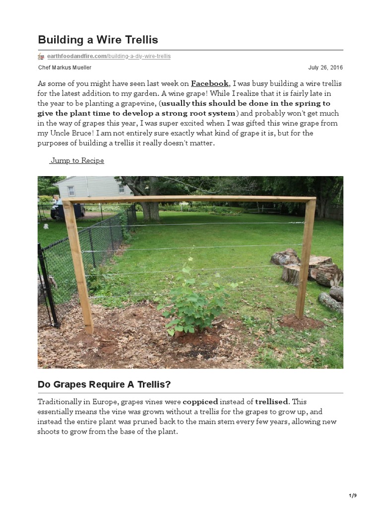 Building A Wire Trellis | PDF | Vitis | Grape