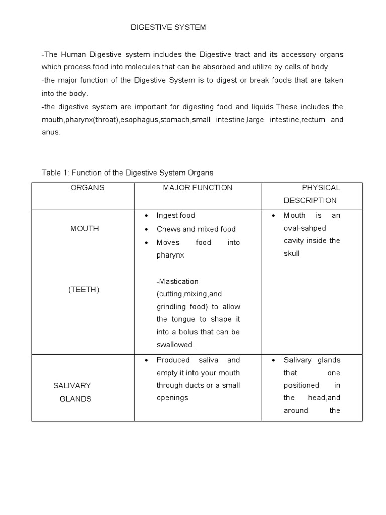 Digestive System | PDF | Human Digestive System | Digestion