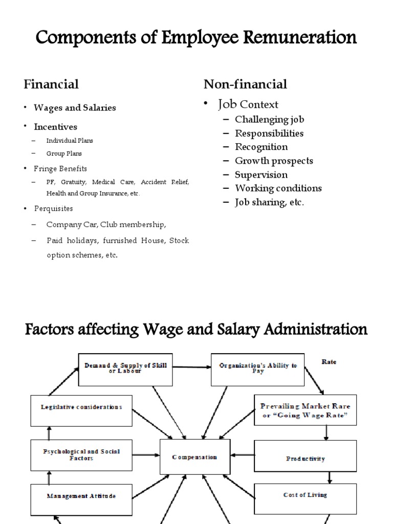 Employee Remuneration Components | PDF | Employee Benefits | Incentive