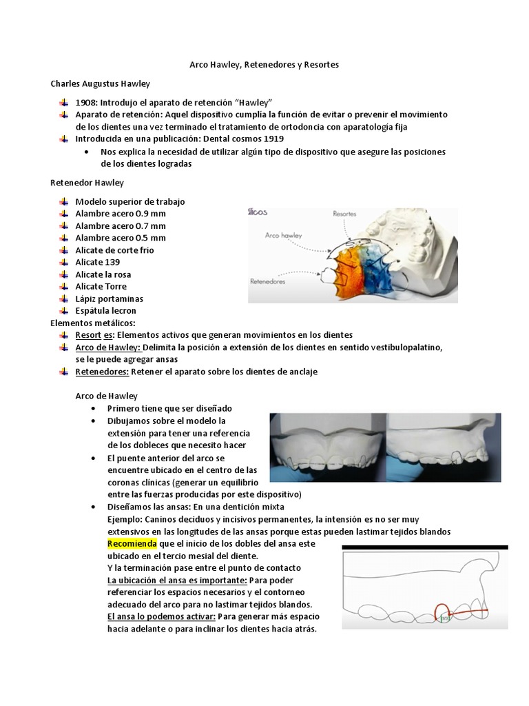 Arco Hawley | PDF | Diente | Anatomia dental