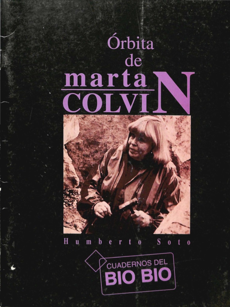 Orbita de Marta Colvin | PDF | Museo | Escultura