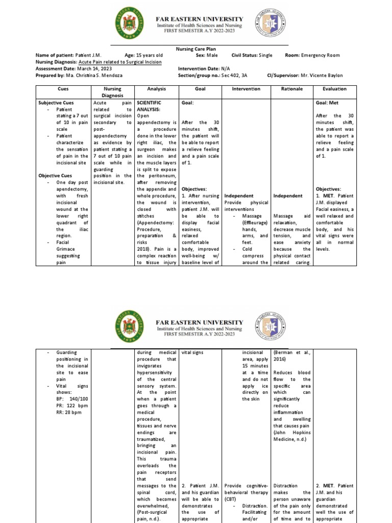 Ncp Acute Pain Pdf Pain Injury