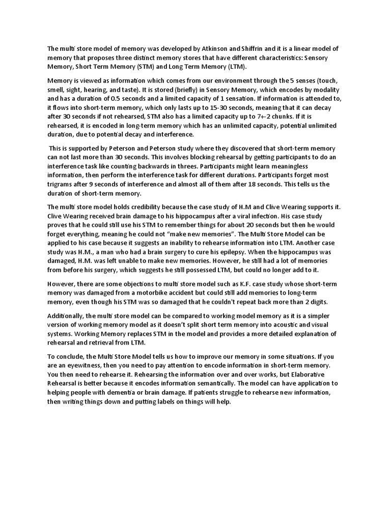 MSM Essay | PDF | Memory | Long Term Memory