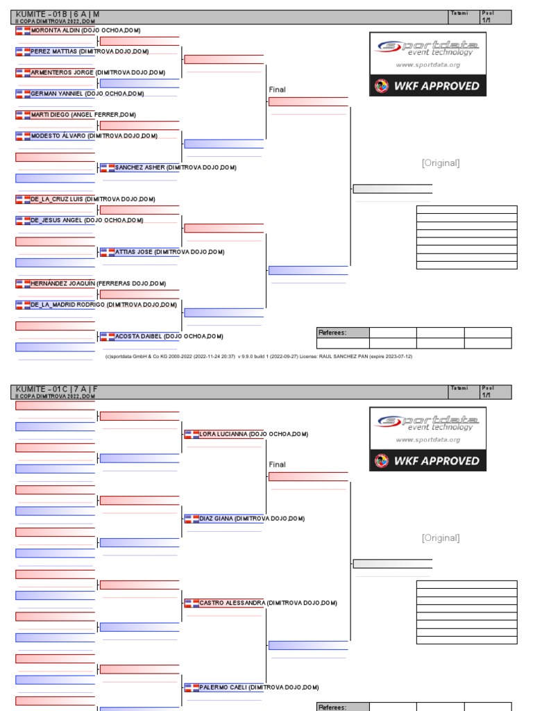 II COPA DIMITROVA 2022 Draws | PDF