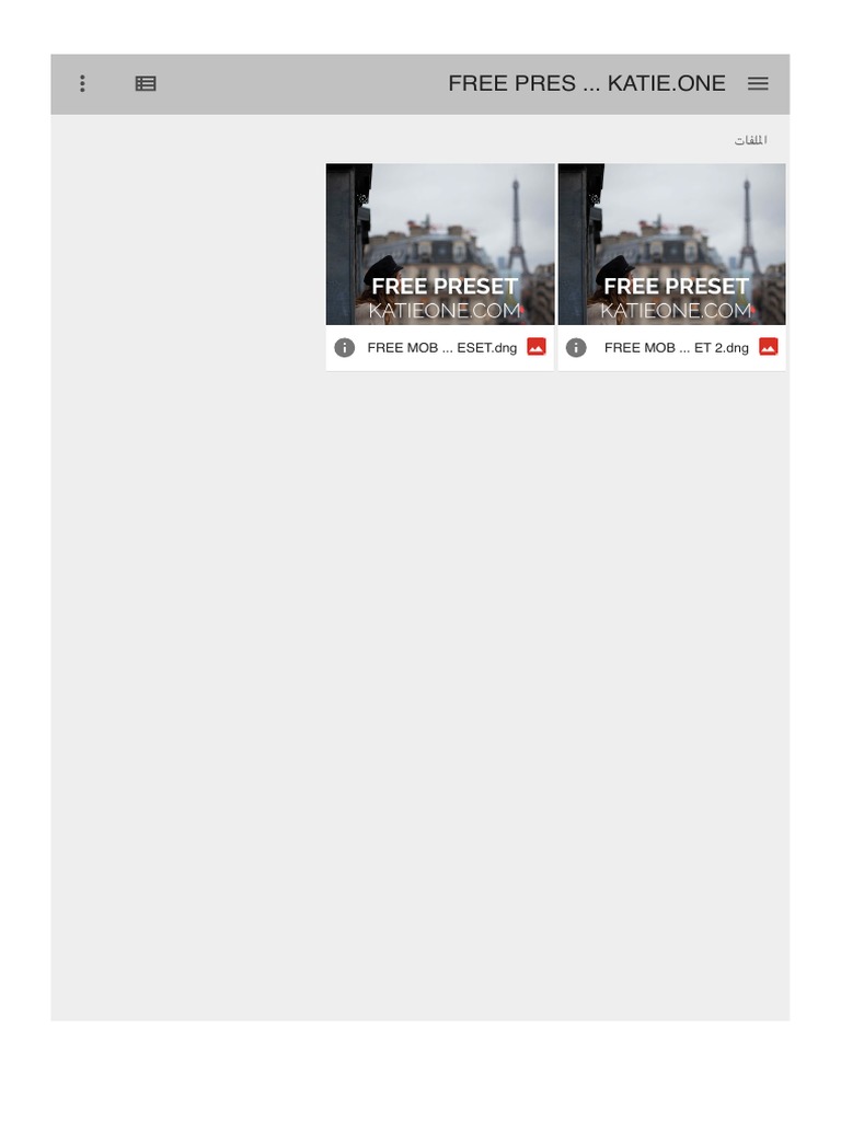 FREE PRESETS KATIE - ONE - Google Drive 2 | PDF