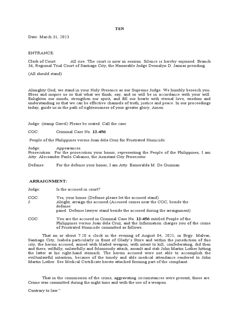 Transcript | PDF | Witness | Plea