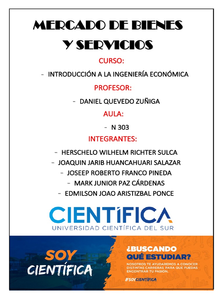 Informe de Mercado de Bienes y Servicios | PDF