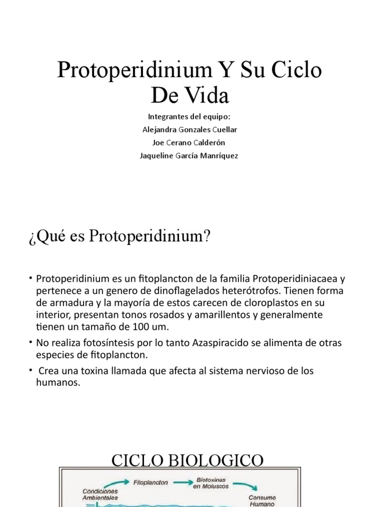 Protoperidinium Y Su Ciclo de Vida | PDF | Medicina | Enfermedades y ...