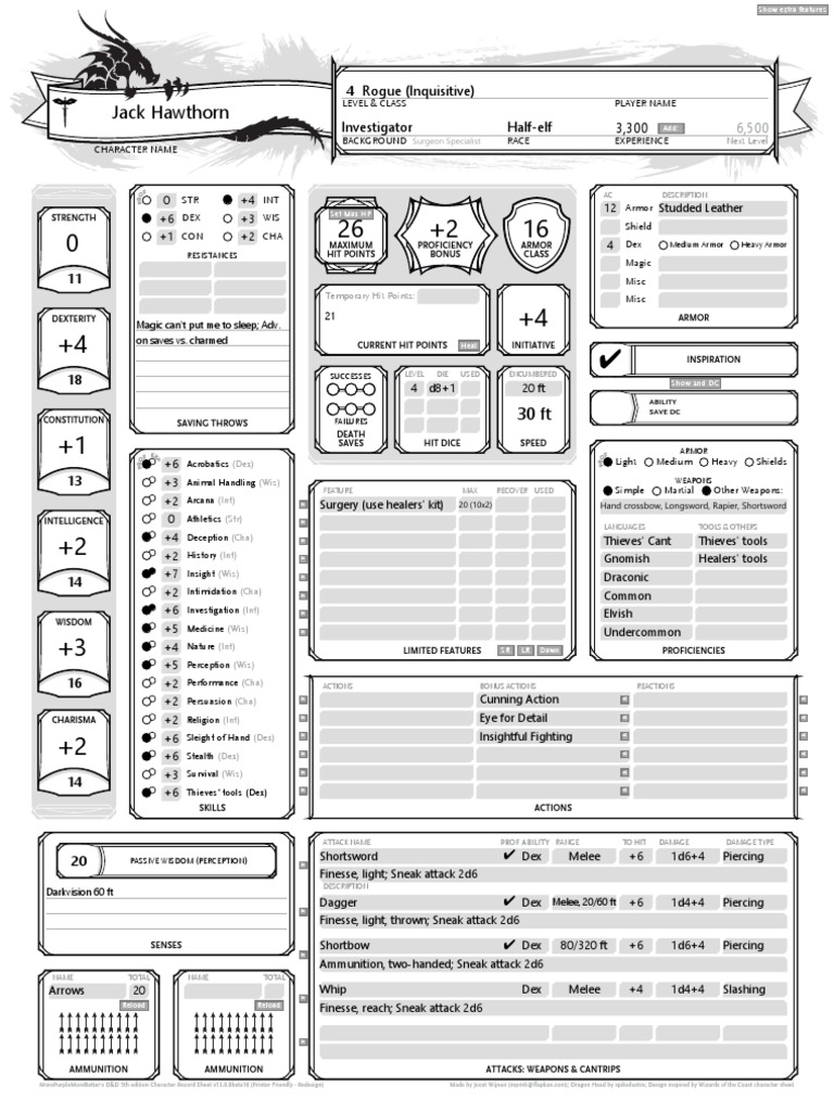 Rogue Character Sheet Overview | PDF