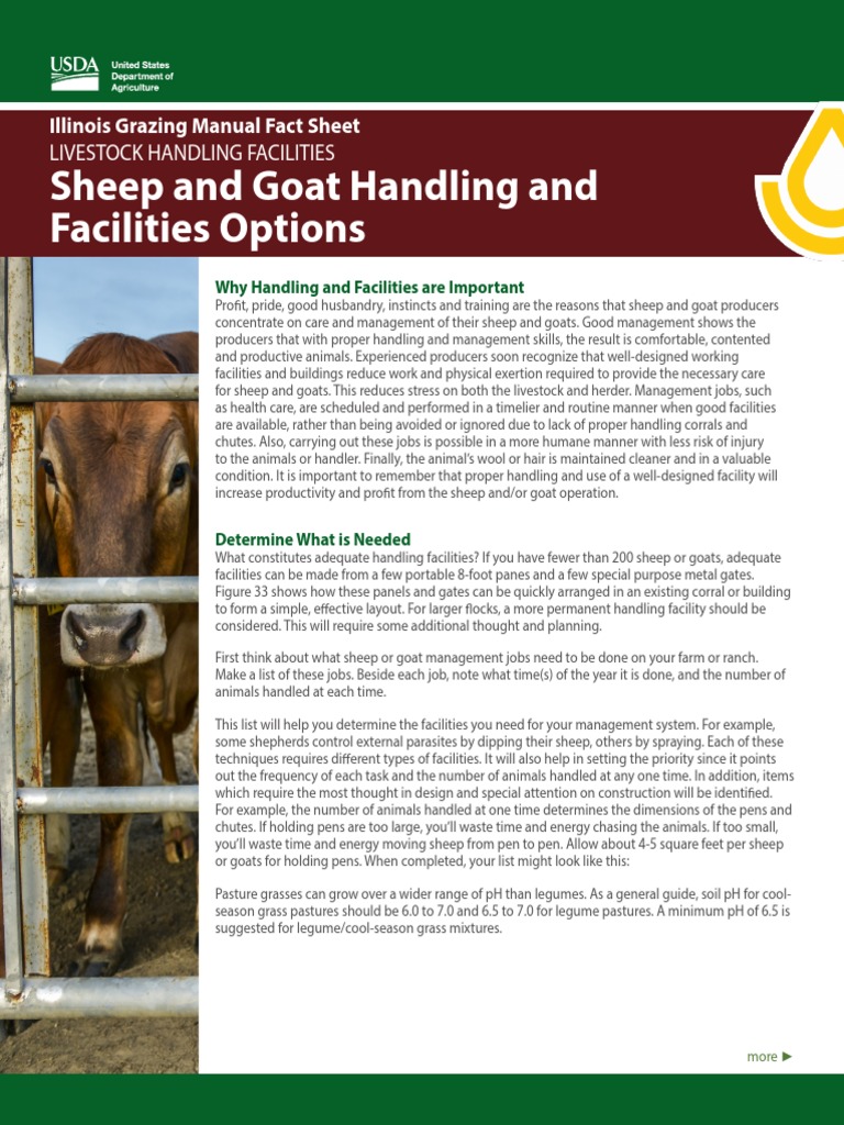 Sheep Goat Handling Facilities Options | PDF | Sheep | Goat