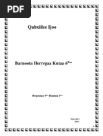 Gaaffilee Shaakalaa Saayinsii Waliigalaa Kutaa 8ffaa. | PDF