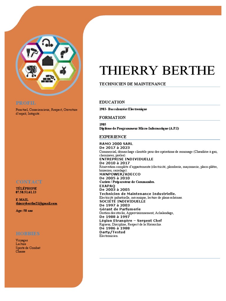 CV Thierry Berthe | PDF