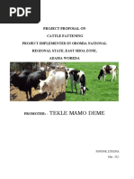 Project Proposal For Cattle and Goat Fattening and Dairy Farm (Final ...