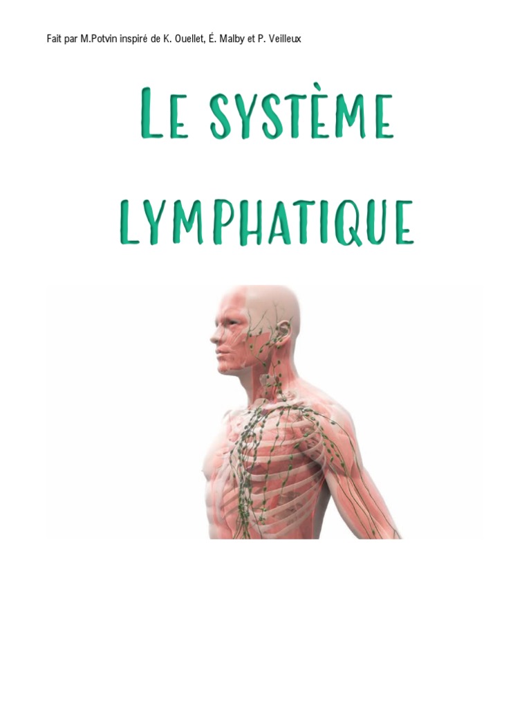 Système Lymphatique : Fonction et Anatomie | PDF | Système immunitaire ...