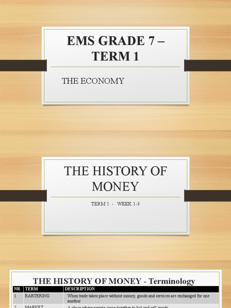 Ems Grade 7 - Term 1: The Economy | PDF