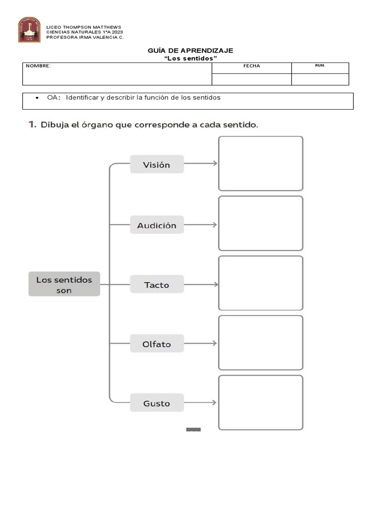 Guía de aprendizaje sobre los cinco sentidos para el curso de Ciencias ...
