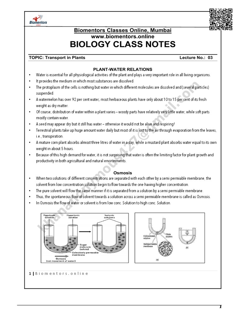 Lecture - 3 Notes Transport in Plants | PDF | Osmosis | Vacuole