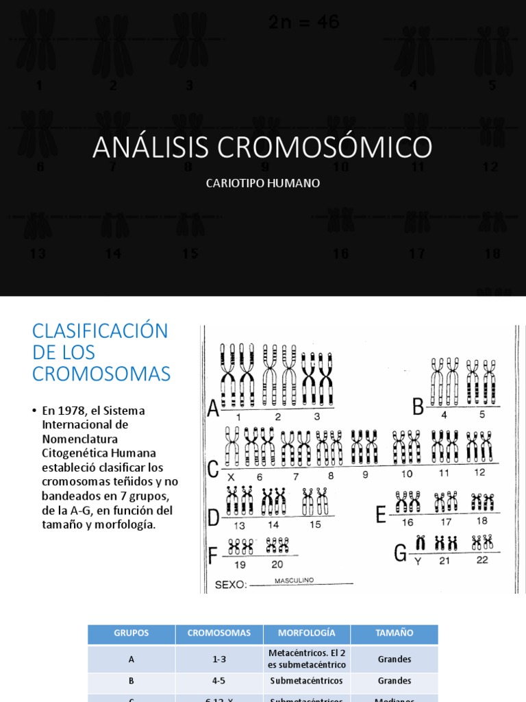 Análisis Cromosómico | PDF