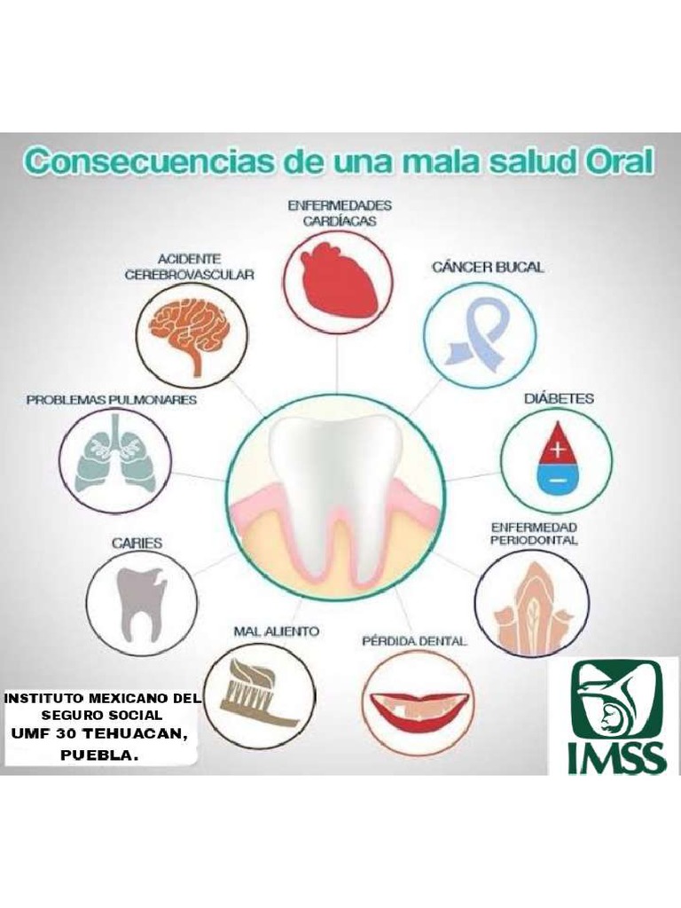 Infografía 2 SNDS | PDF