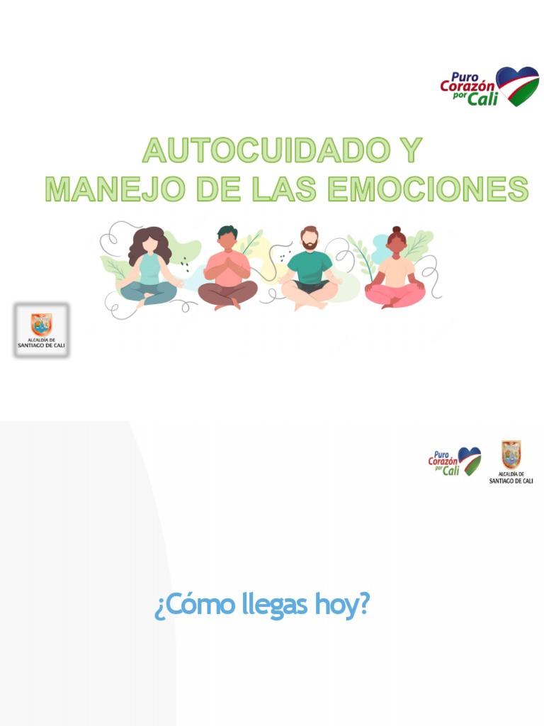 Gestión De Las Emociones Pdf Las Emociones Soledad