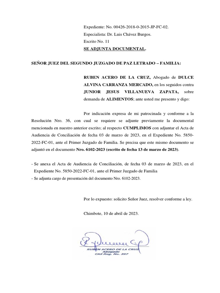 Escrito 11 Exp 426-2018 Adjunta Anexo | PDF