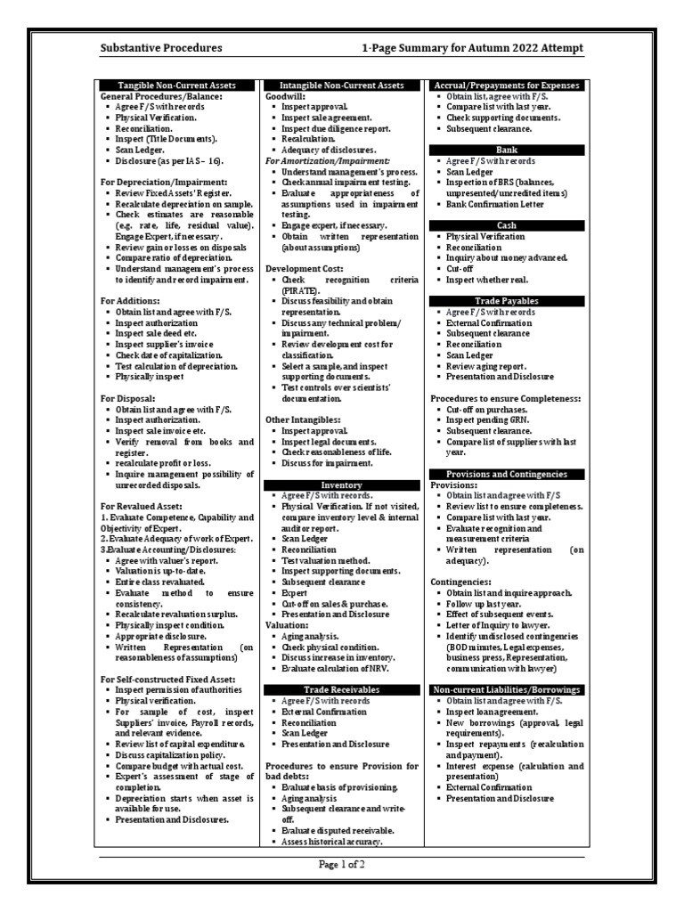 Audit Procedures Guide | PDF