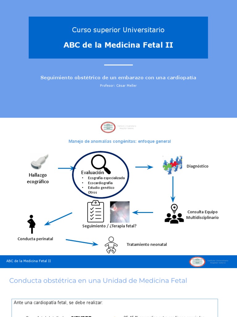 3-Seguimiento Obstétrico (Dr. Meller) | PDF | Feto | Ultrasonido médico