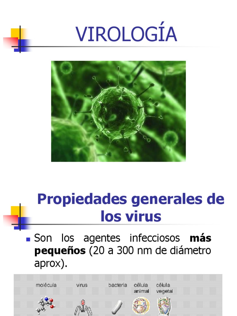 Clasificación y Estructura de Virus | PDF | Virus | Virología
