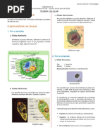 Ficha Tecnica Agrygent Plus 8 WP | PDF | Las bacterias | Biología