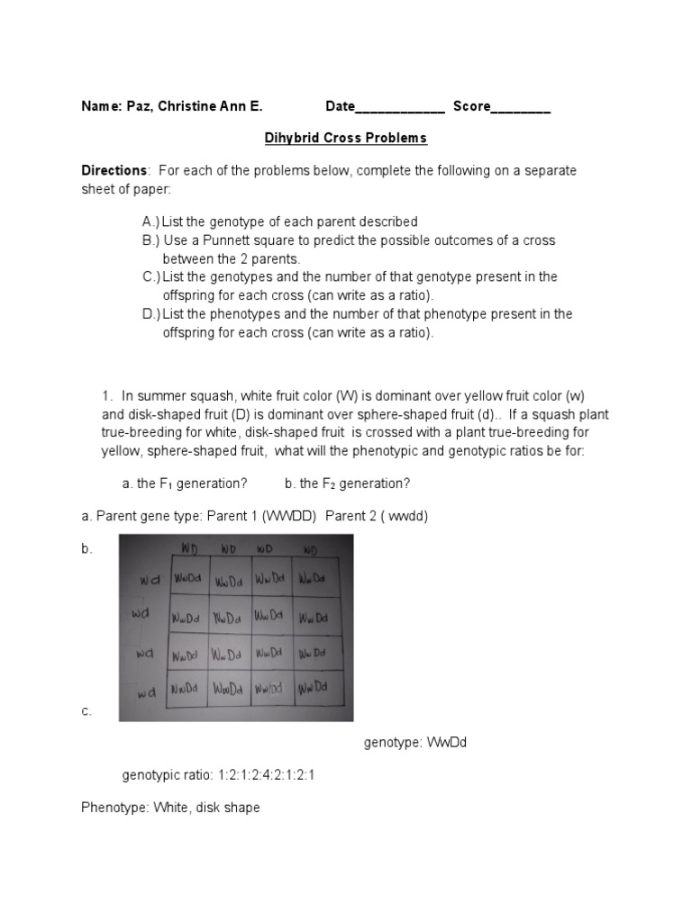 ACTIVITY on DIHYBRID CROSS PROBLEM SOLVING | PDF