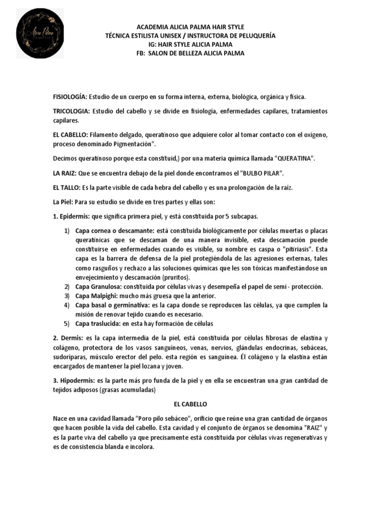 Manual Peluqueria Municipalidad | PDF | Color | Piel