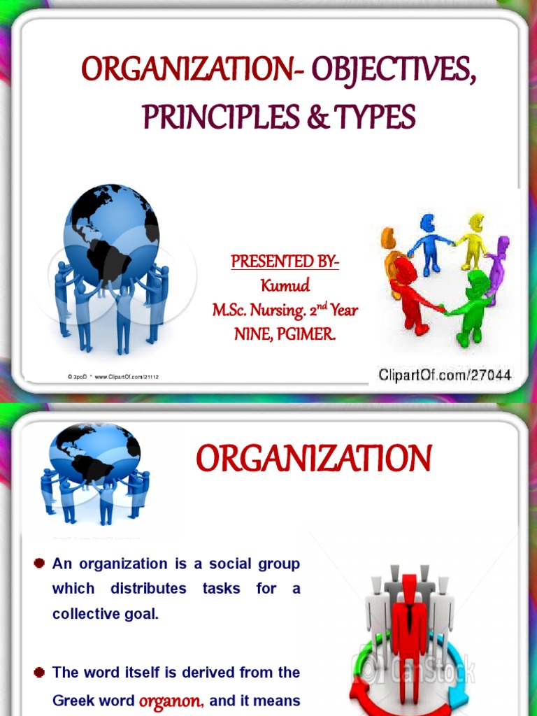 ORGANIZATION- objectives, Principles & Types | PDF