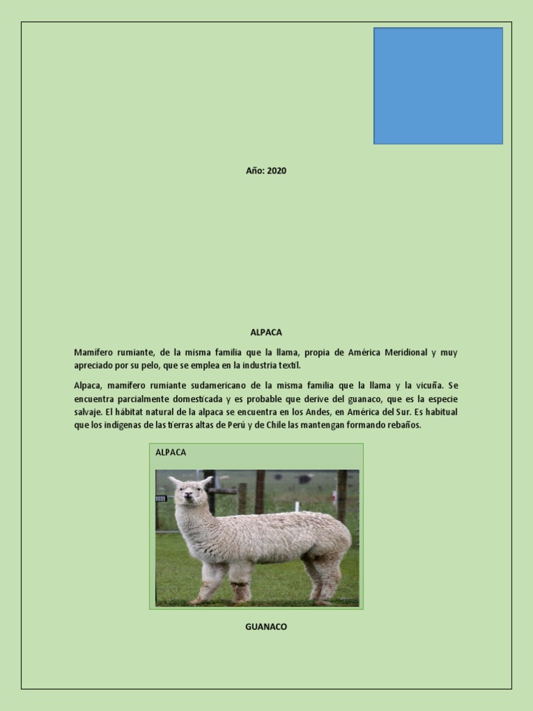 ALPACA | PDF | Camello | América del Sur