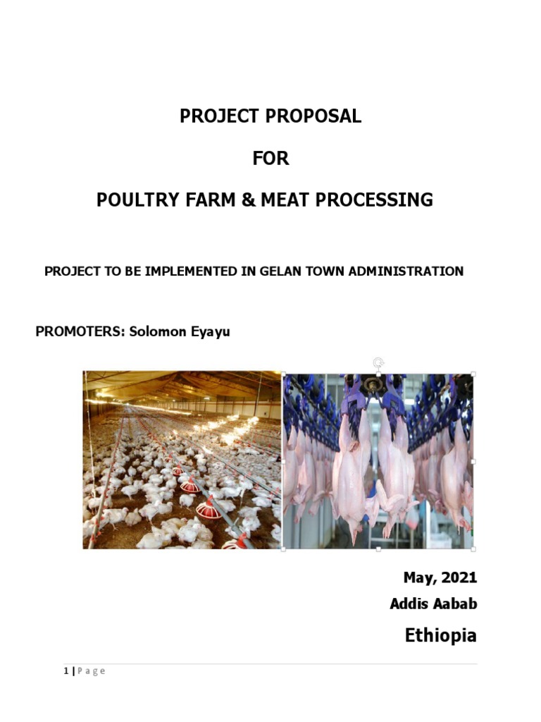 Poultary Business Plan | PDF | Meat | Poultry Farming