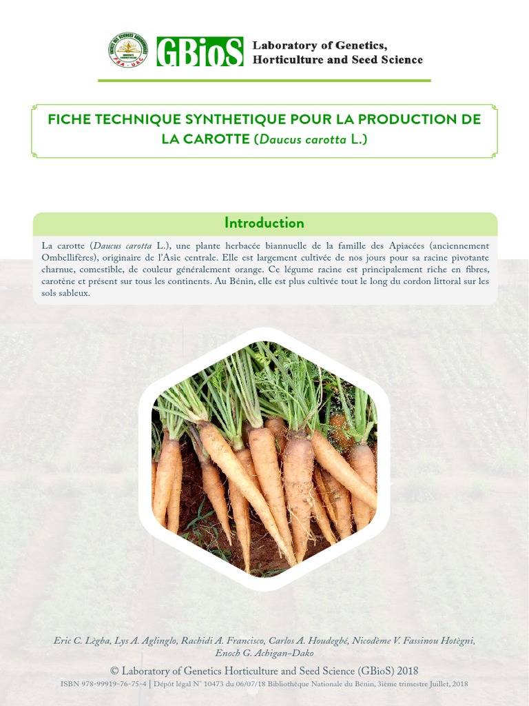 FICHE TECHNIQUE SYNTHETIQUE POUR LA PRODUCTION DE LA CAROTTE Daucus ...