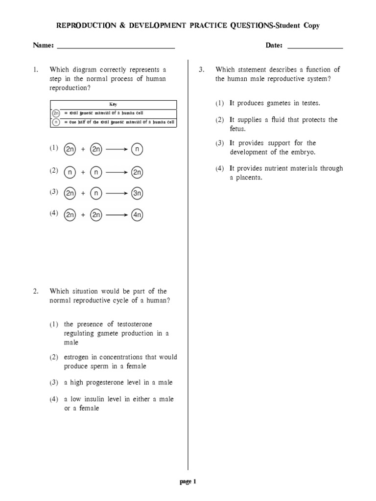 Reproduction Questions | PDF | Human Reproduction | Reproductive System