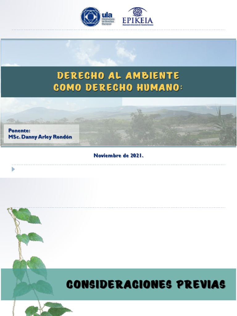 Medio Ambiente y DDHH - MSc. Danny Rondón | PDF Medio Ambiente y DDHH - MSc. Danny Rondón | PDF