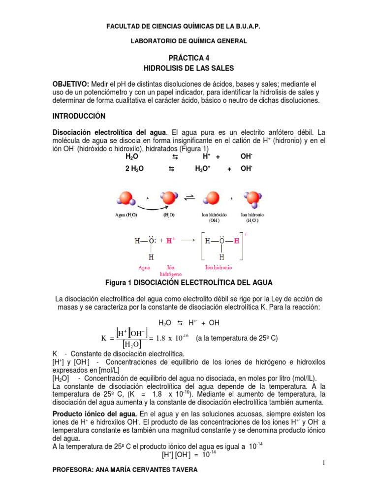 A Práctica Hidrólisis | PDF | Sal (química) | Ph