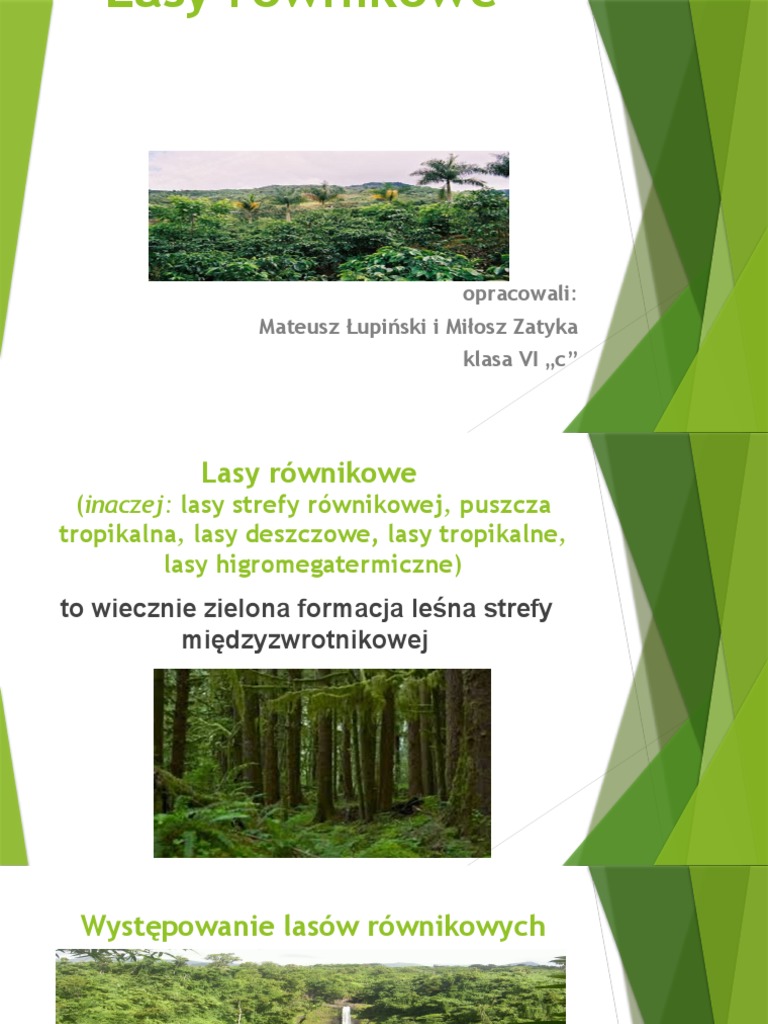 Lasy Równikowe | PDF