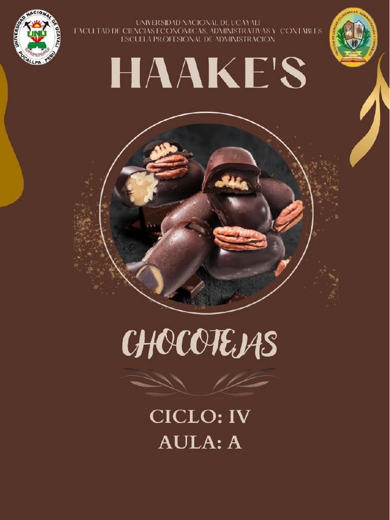 RESUMEN EJECUTIVO Chocoteja | PDF | Negocios económicos | Business