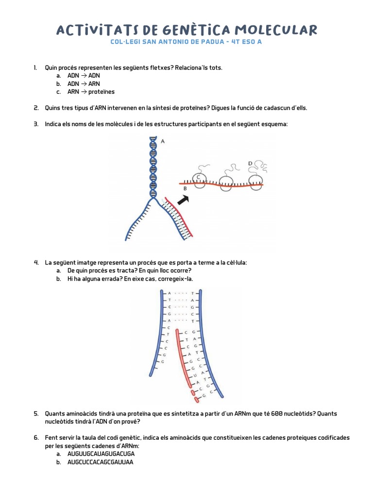 Dossier D'activitats | PDF