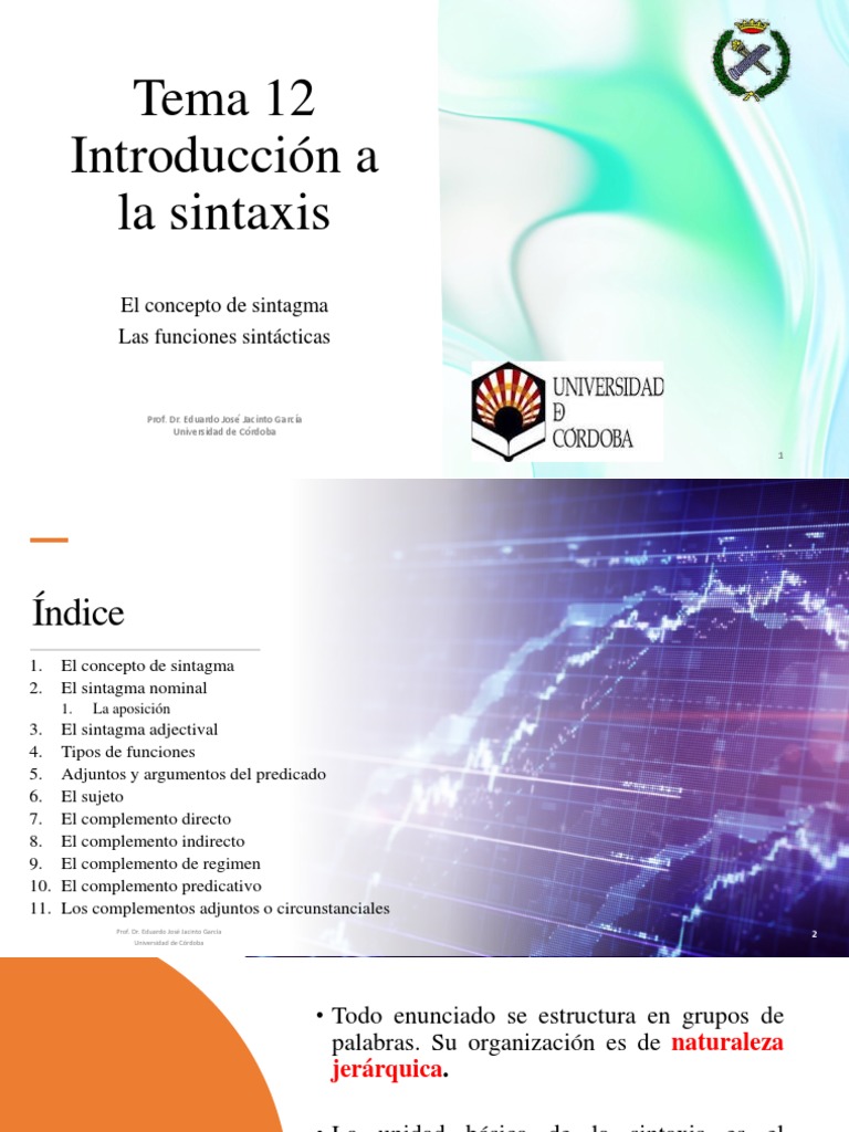 Tema 12 Introducción A La Sintaxis: El Concepto de Sintagma Las Funciones Sintácticas | PDF ...
