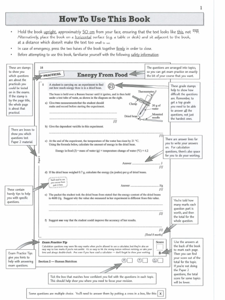 Exam Practice Workbook - Questions | PDF